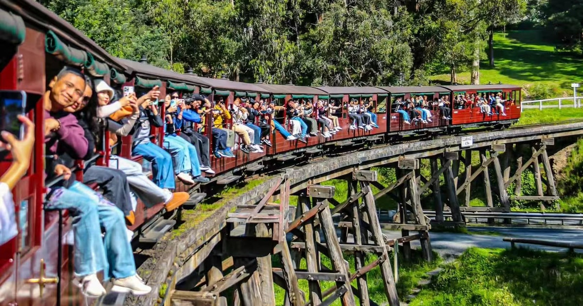 Melbourne: Puffing Billy Railway & Penguin Parade Day Trip | GetYourGuide