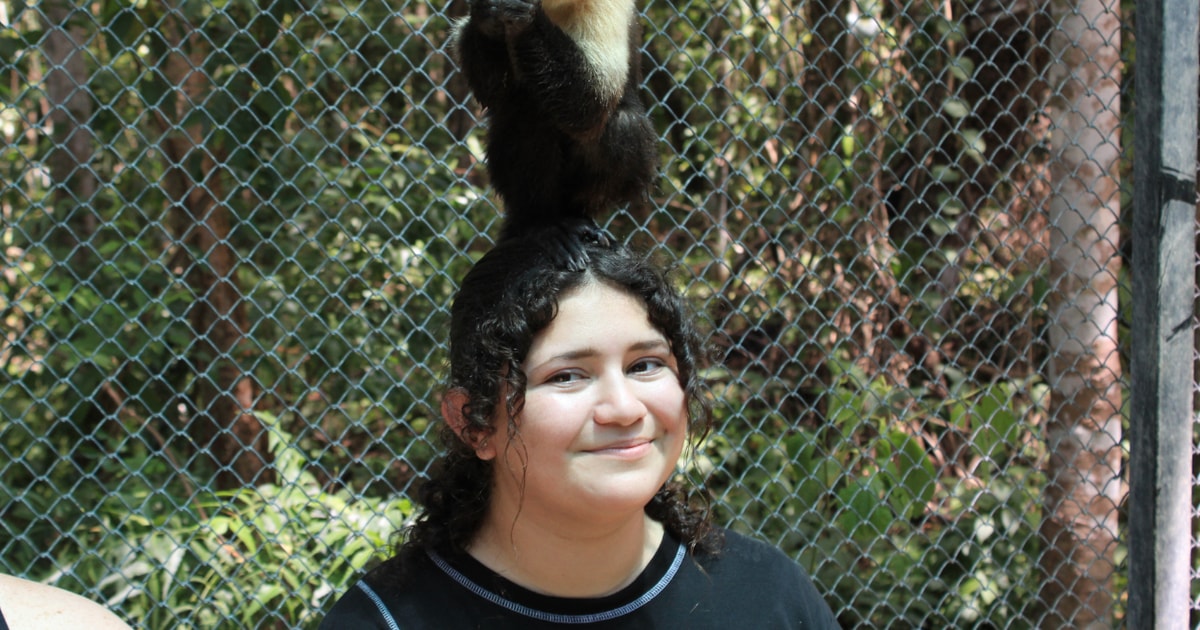 Akumal: Visit the Monkey Sanctuary with Cenote swim and ATV | GetYourGuide
