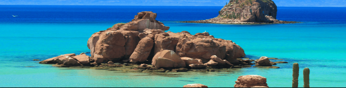 La Paz: Scuba Diving at Los Islotes | GetYourGuide