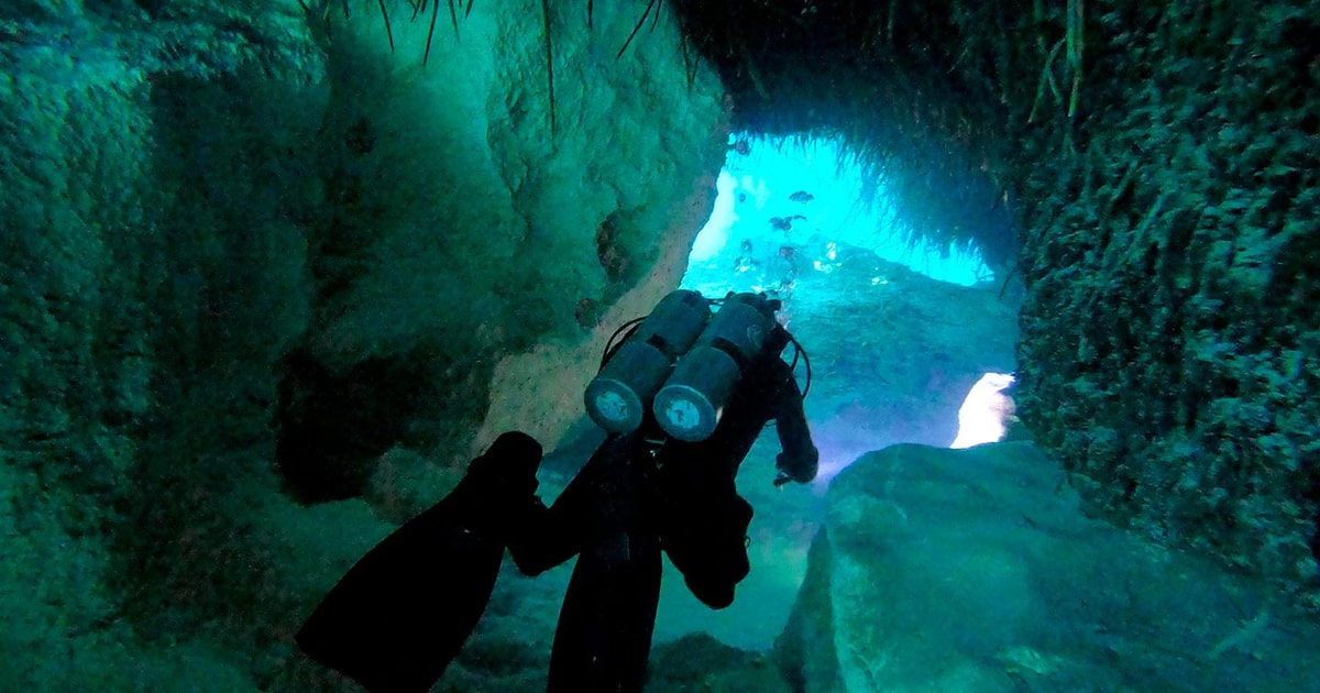Playa del Carmen : Plongée double (Cenote + Plongée récifale ...
