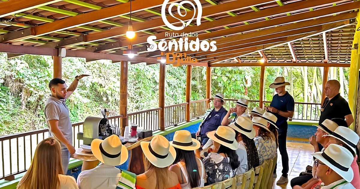 Tour Ruta de los Sentidos CAFE DE SANTA ROSA DE CABAL | GetYourGuide