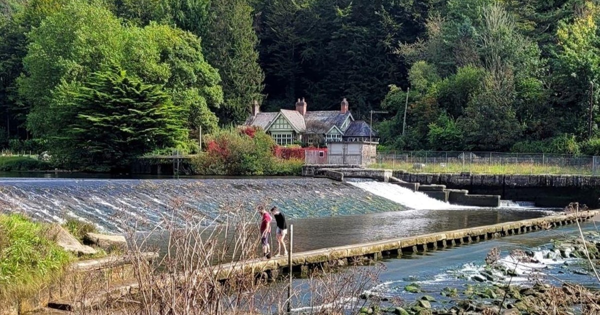 Bere Ferrers: Guided Walk to Tamerton Foliot | GetYourGuide