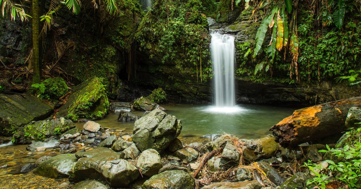 Puerto Rico: El Yunque Rainforest Guided Tour with Transfers | GetYourGuide