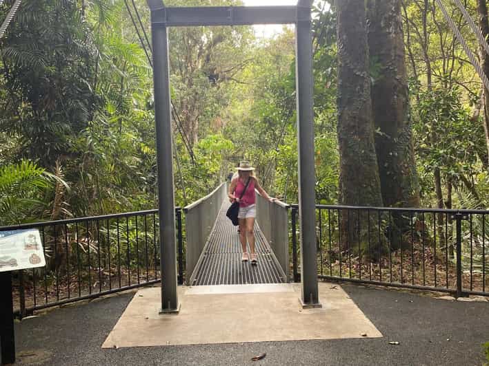 Cairns: River Cruise and Daintree Rainforest Walk | GetYourGuide