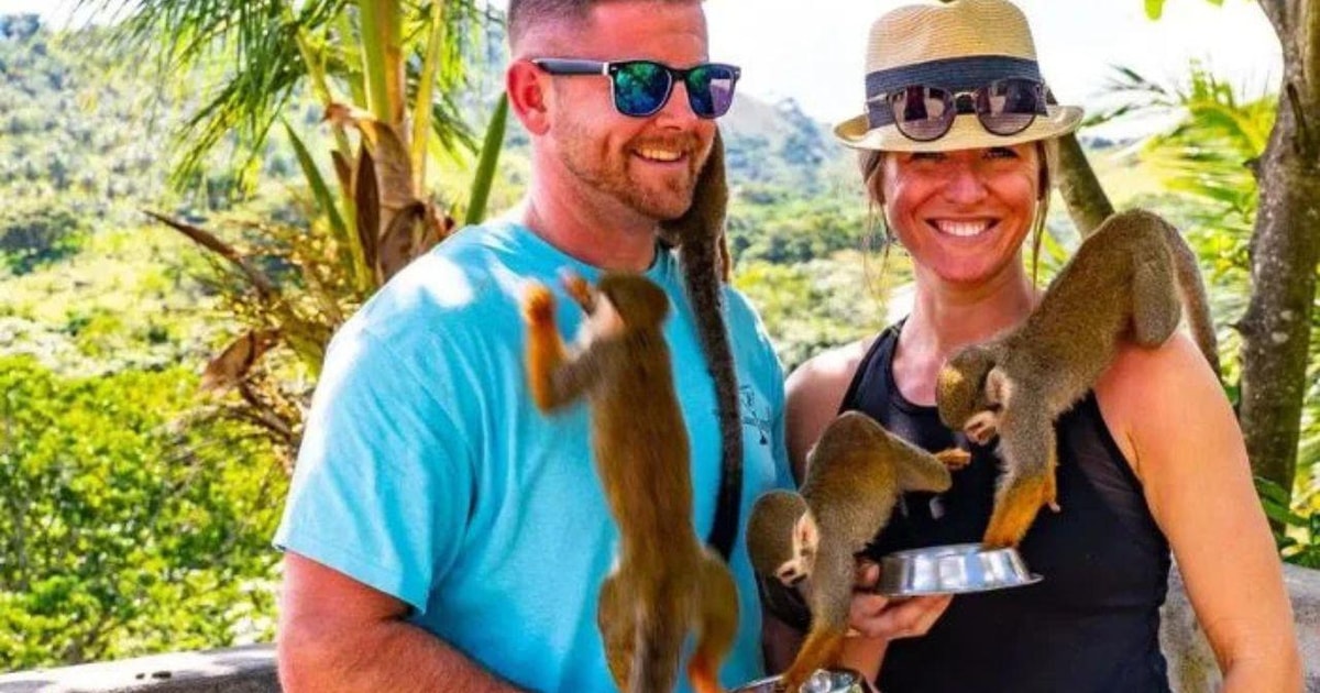 Punta Cana: Monkey land Half-Day Tour with Snacks and Guide | GetYourGuide