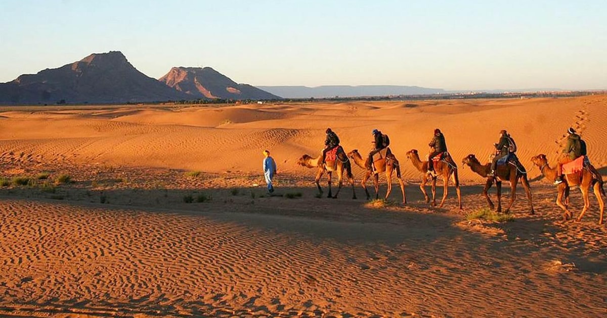 Circuit de 2 jours entre Marrakech et le désert de Zagora et la Kasbah Ait Benhaddou | GetYourGuide
