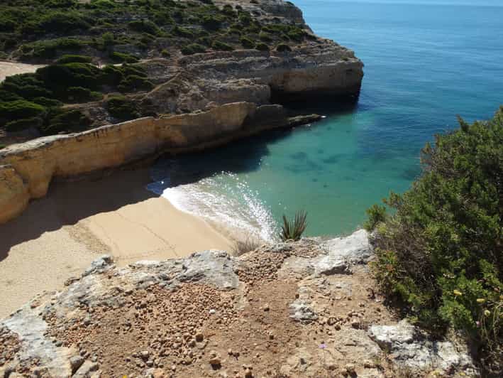 Safari Come and Discover Lagos Sagres Guided Tour | GetYourGuide