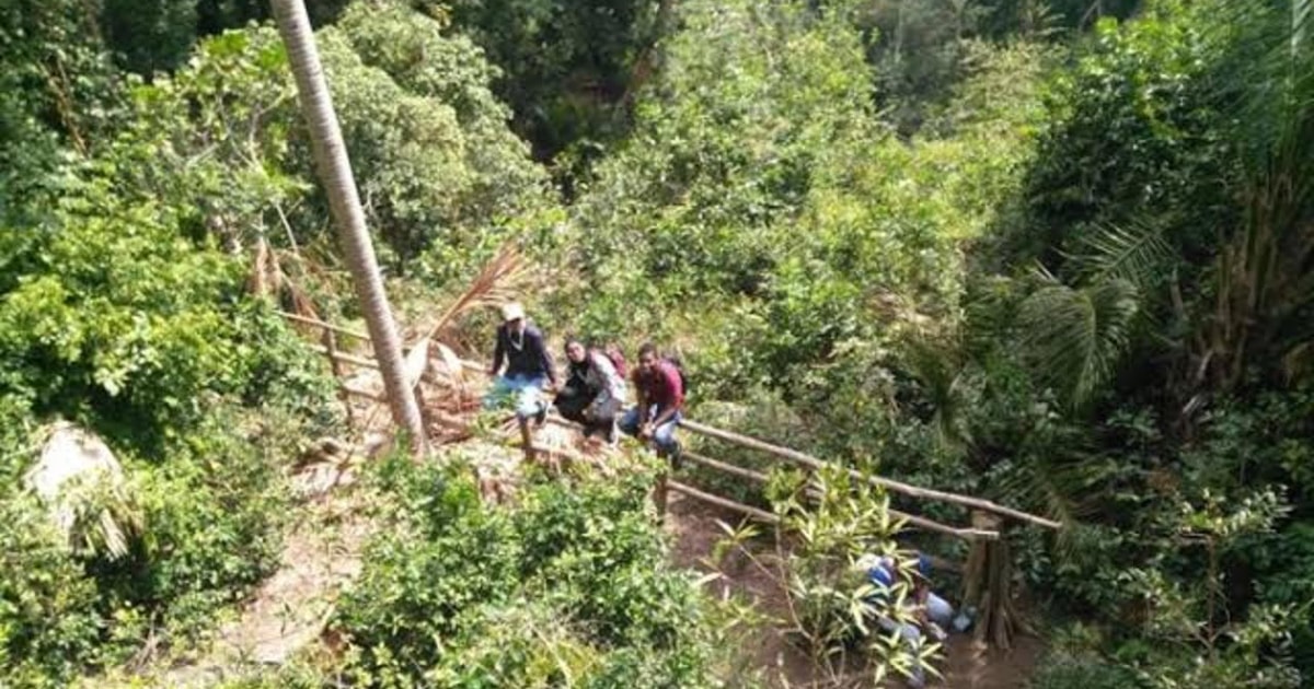 Zanzibar : Aventure en tyrolienne dans la forêt de Masingini | GetYourGuide