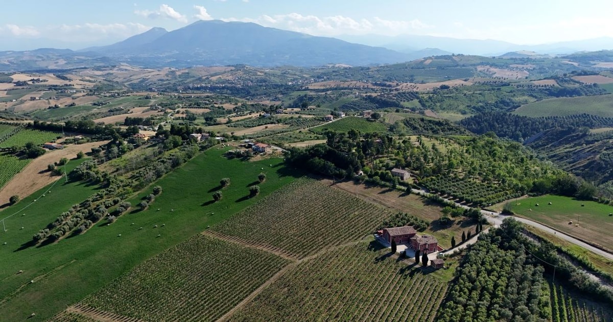 Marche: unique visit and tasting at D'Erasmo Winery among signature ...