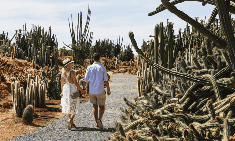 Cactus Country: Entry Ticket | GetYourGuide