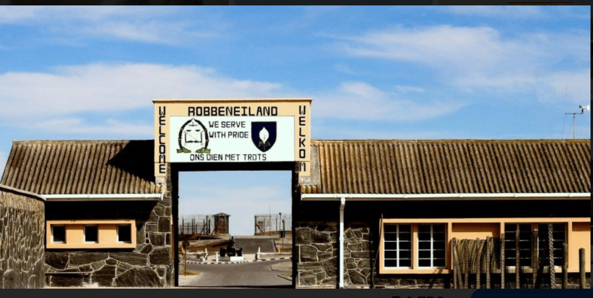 Robbeneiland Halve Dag Tour | GetYourGuide