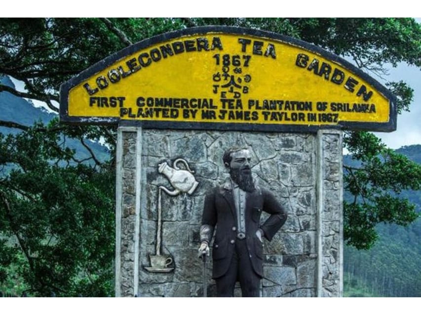 From Kandy: James Taylor’s Tea Tour (The Tale of Ceylon Tea) | GetYourGuide