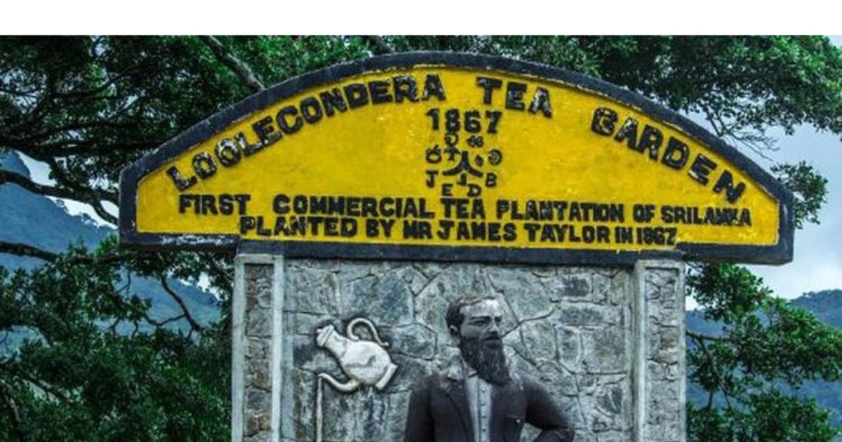 From Kandy: James Taylor’s Tea Tour (The Tale of Ceylon Tea) | GetYourGuide