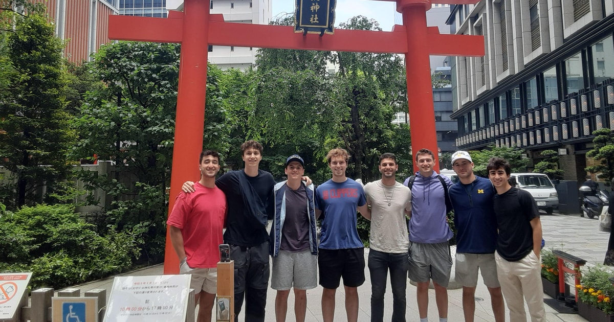 Tokyo: Private Customizable Car and Mini Van Tour | GetYourGuide