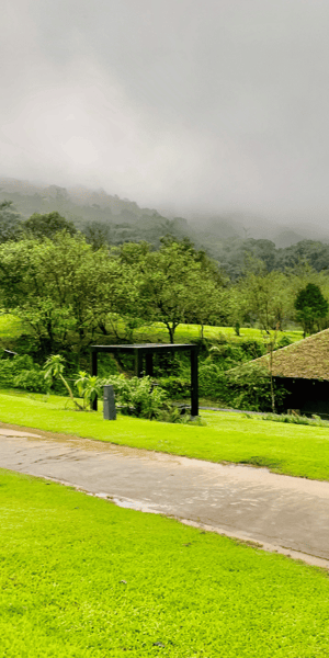 Nature & Spiritual Trails of Coorg (Guided Walking Tour) | GetYourGuide