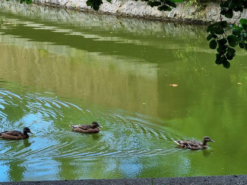 Explore Maksimir - a beautiful park in Zagreb | GetYourGuide