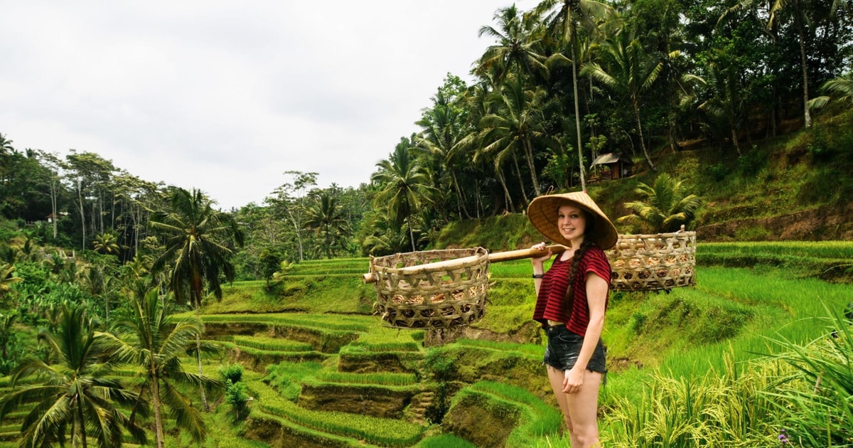 Ubud: Tour del meglio di Ubud di un giorno intero con biglietti d ...