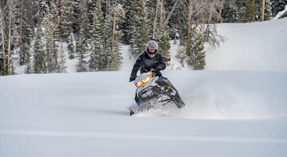 Jackson Hole: Turpin Meadow Snowmobile Tour | GetYourGuide