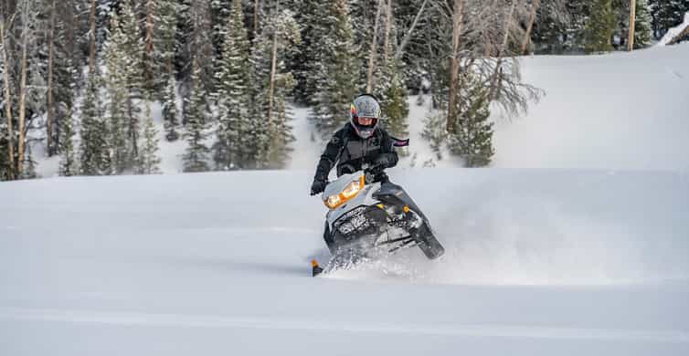 Jackson Hole: Turpin Meadow Snowmobile Tour | GetYourGuide