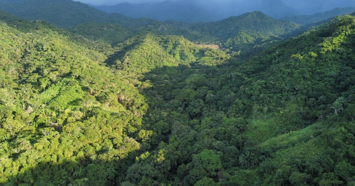 Mountain Tour - Santa Marta - Sierra Limom Tour | GetYourGuide