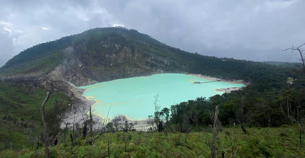 Bandung: Vulkaan, Warmwaterbron, Modderbad & Theeplantage | GetYourGuide