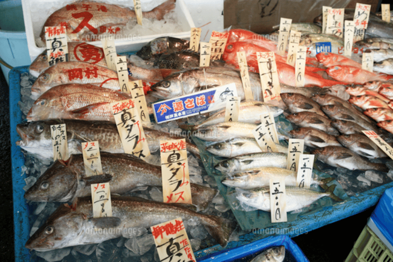 Niigata Private Custom Tour with Local Guide | GetYourGuide