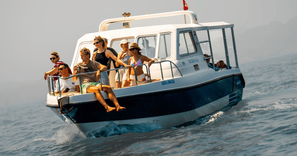 Dolphin Watching and Snorkeling Trip in Muscat | GetYourGuide