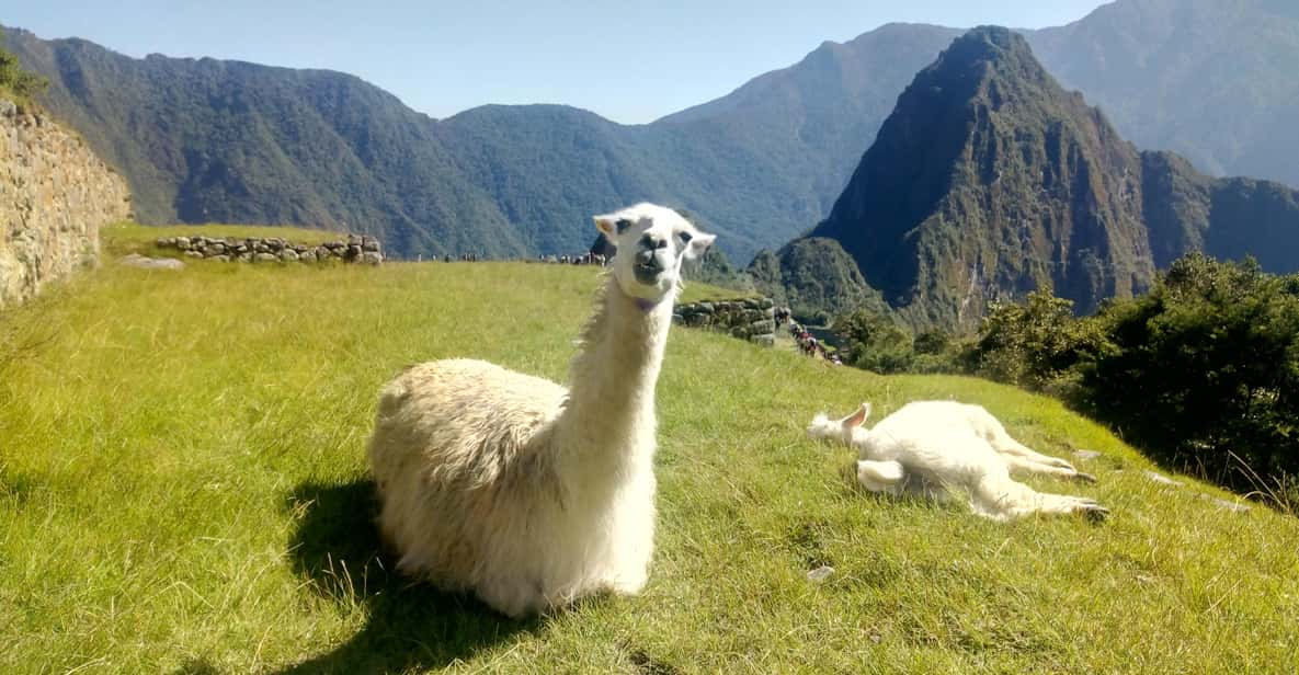 The Peru of the Andes | GetYourGuide