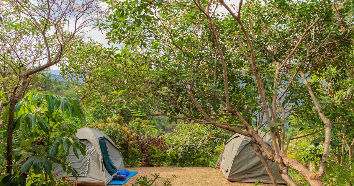 Camping gears and Camping | GetYourGuide