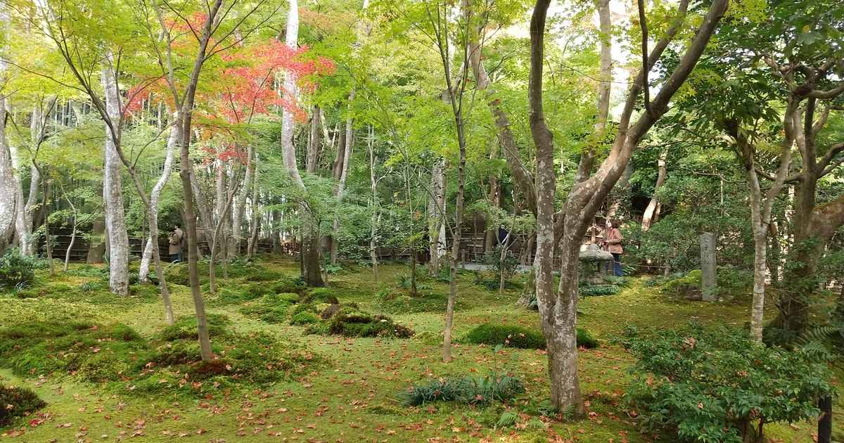 Kyoto: Quiet Arashiyama and Sagano Temples Guided Tour | GetYourGuide