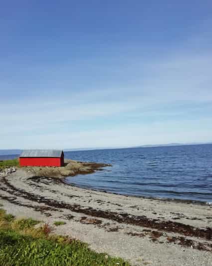 Discovery hike along the Trondheimsfjord | GetYourGuide