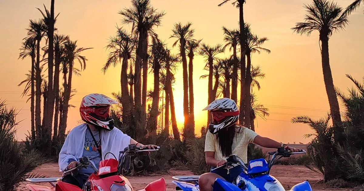 Marrakech: Quad excursie in de palmbomen van Marrakech | GetYourGuide