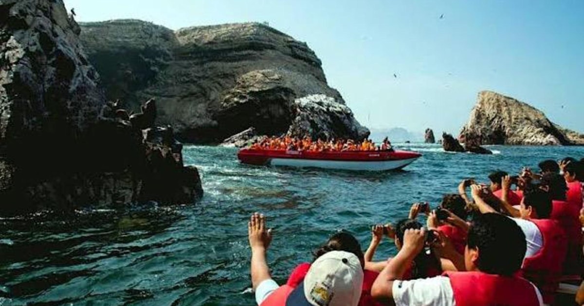 Nazca, Paracas and Ballestas Islands Tour - 3-day Ica Tour | GetYourGuide