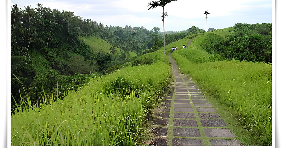 Ubud: Melukat Ceremony and Campuhan Ridge Sunset Tour | GetYourGuide