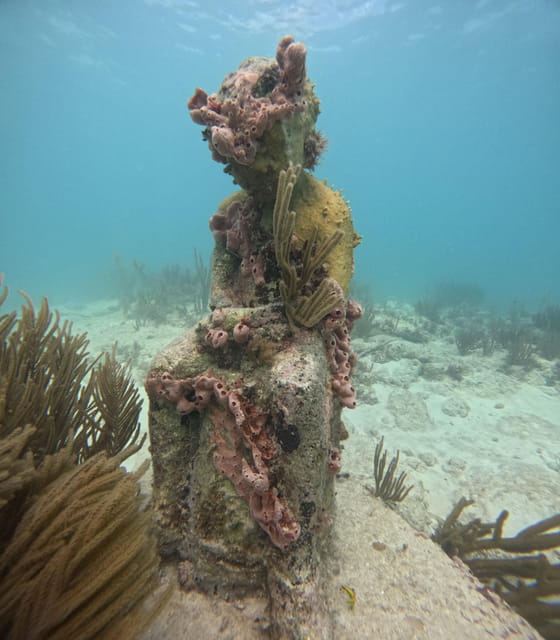 Snorkel Paradise Cancun and underwater museum in Nizuc | GetYourGuide