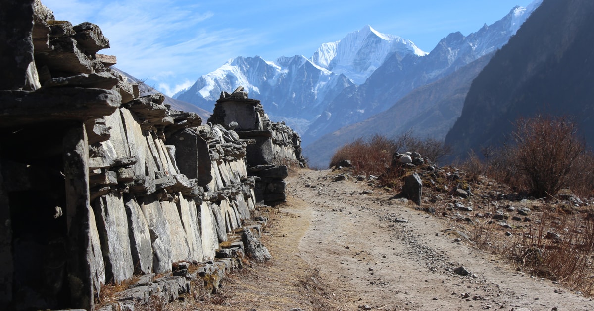 Langtang Valley Trek - 08 Days | GetYourGuide