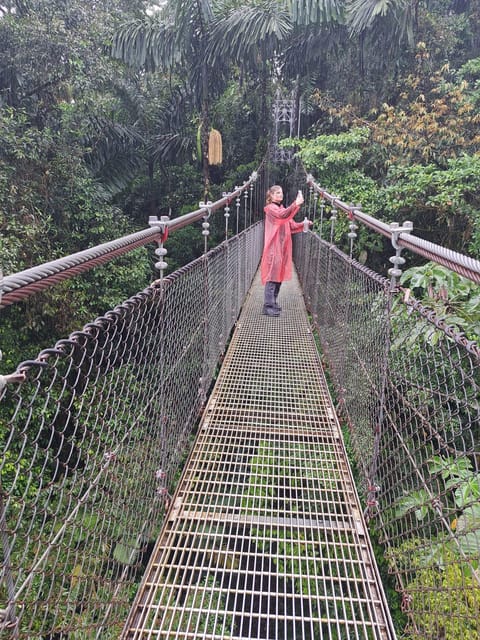 Hanging Bridges Mistico Park and Canopy | GetYourGuide