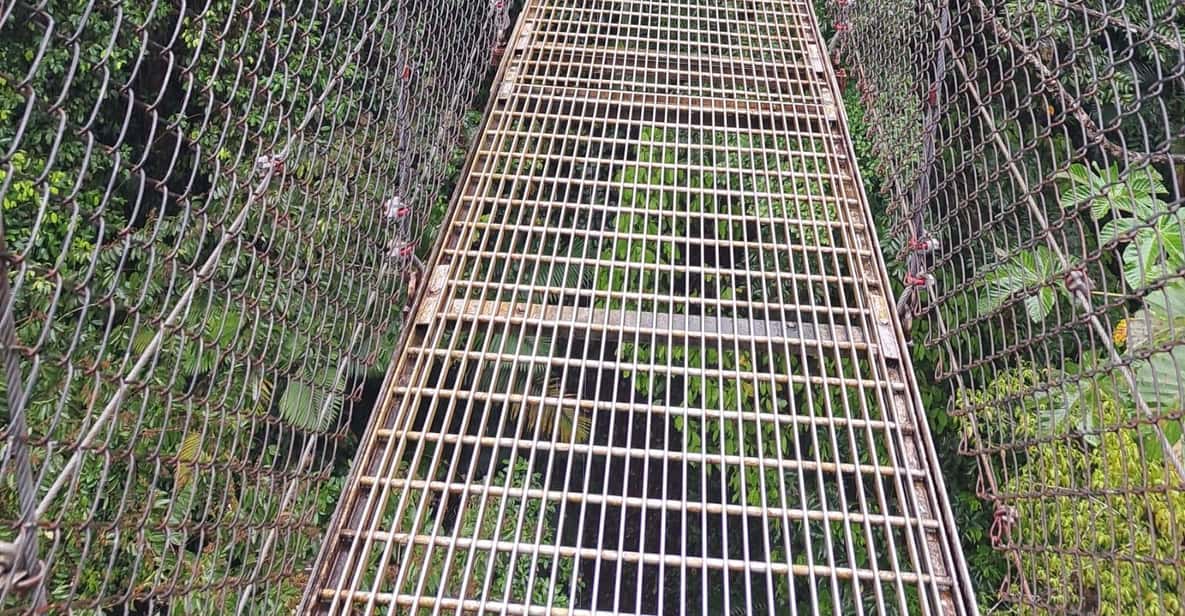 Hanging Bridges Mistico Park and Canopy | GetYourGuide