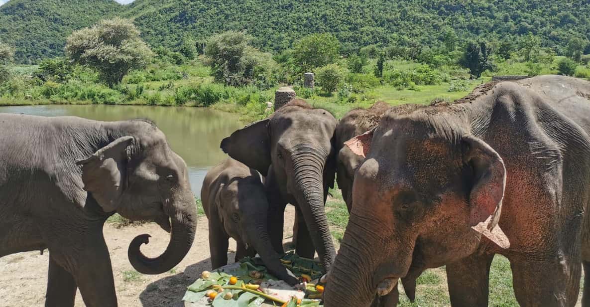 Bangkok: O mundo dos elefantes e a cascata de Erawan em Kanchanaburi ...