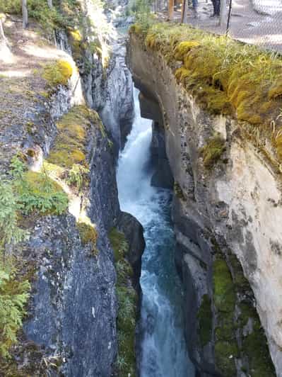 Circuit de 4 jours dans le parc national de Banff et Jasper sans hôtel ...