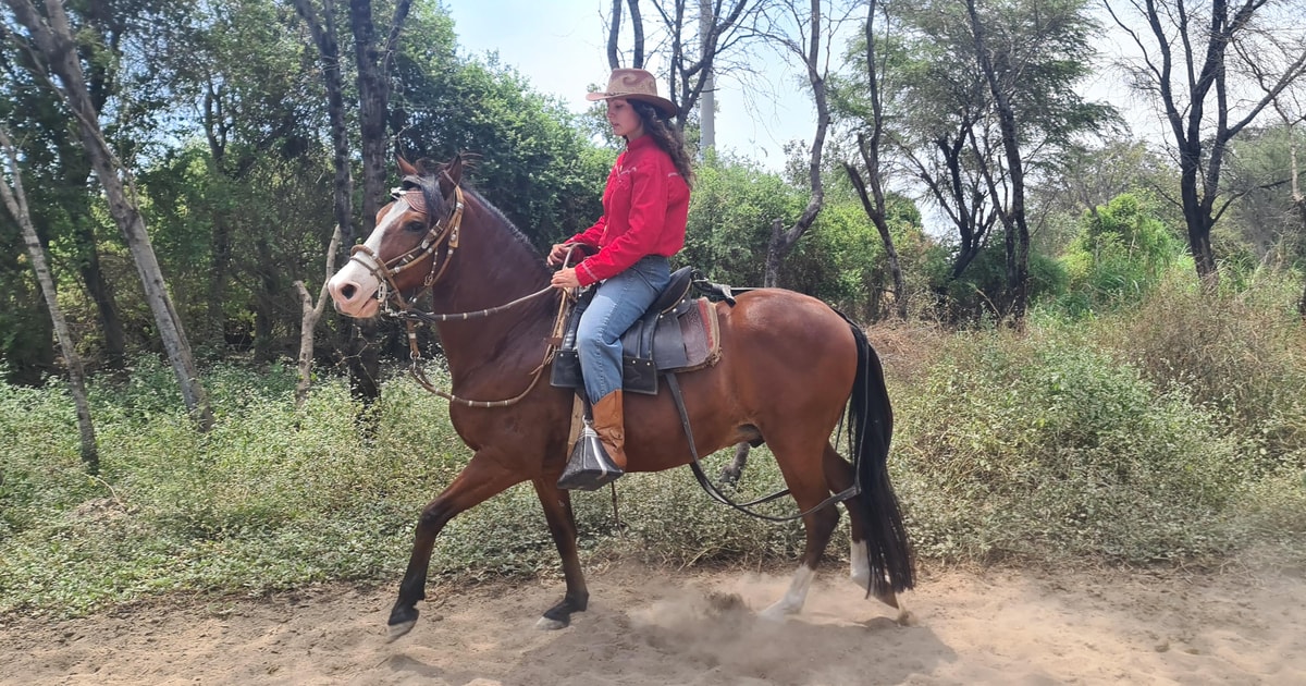 2 days tour - Horse riding / Pyramids of Tucume | GetYourGuide