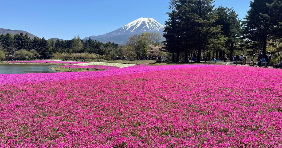 Privat Mt. Fuji tur med guide | GetYourGuide