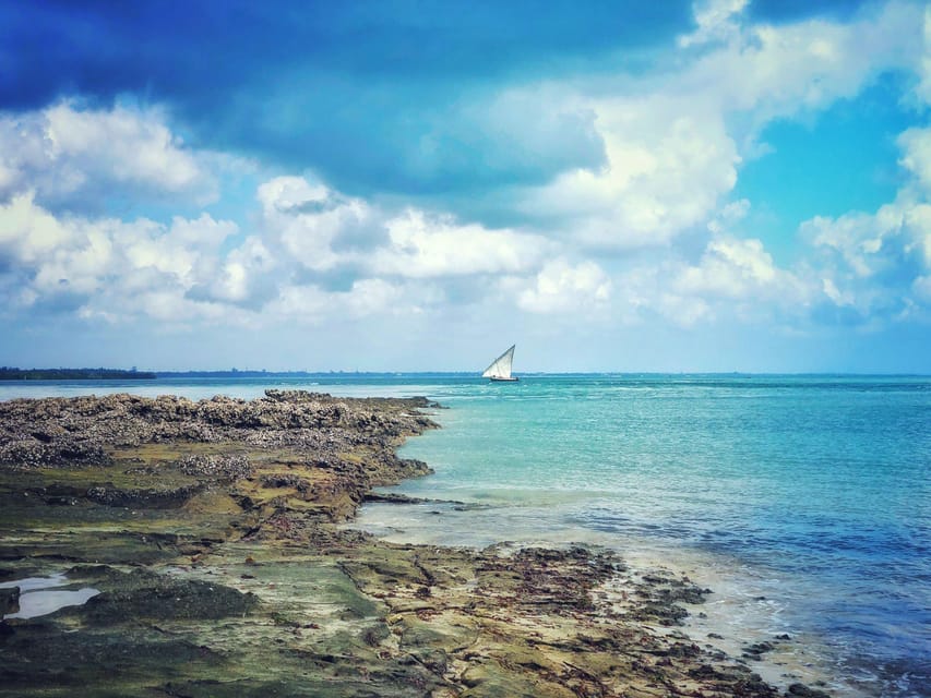 Pangani Beach Holiday | GetYourGuide