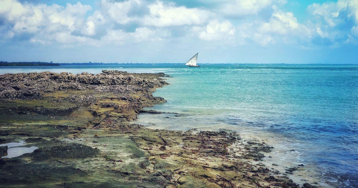 Pangani Beach Holiday | GetYourGuide