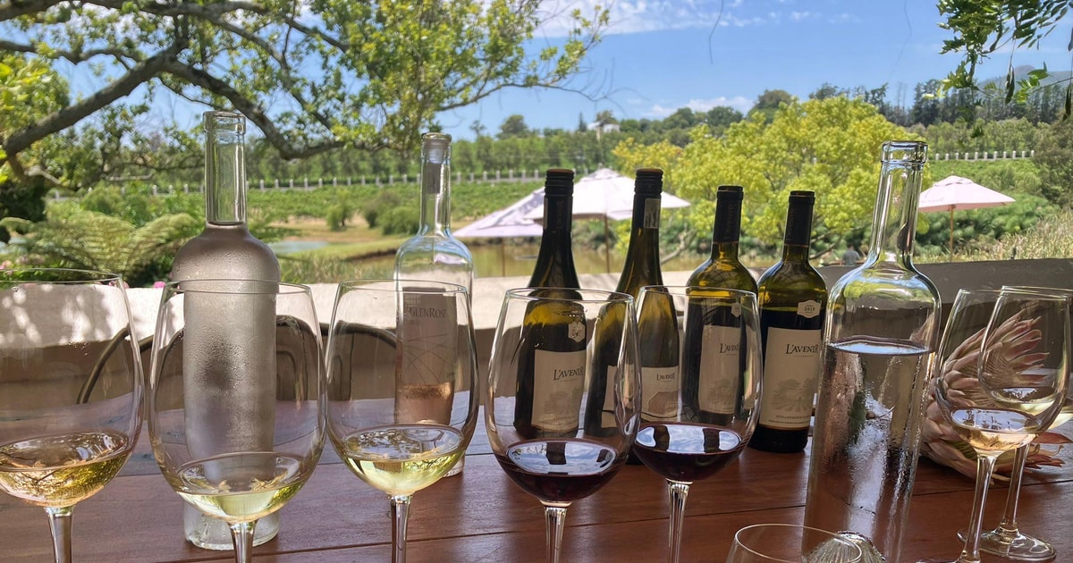 Wine Tasting in Cape's Top Three Winelands Private Tour | GetYourGuide