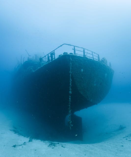 Dive Tour Malta. Um El Faroud & Ghar Lapsi dive | GetYourGuide