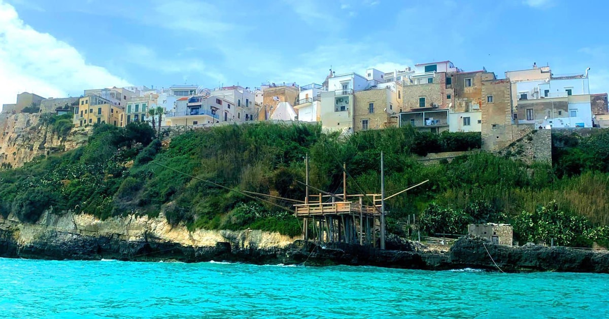 boat tour south coast and sea caves in vieste | GetYourGuide