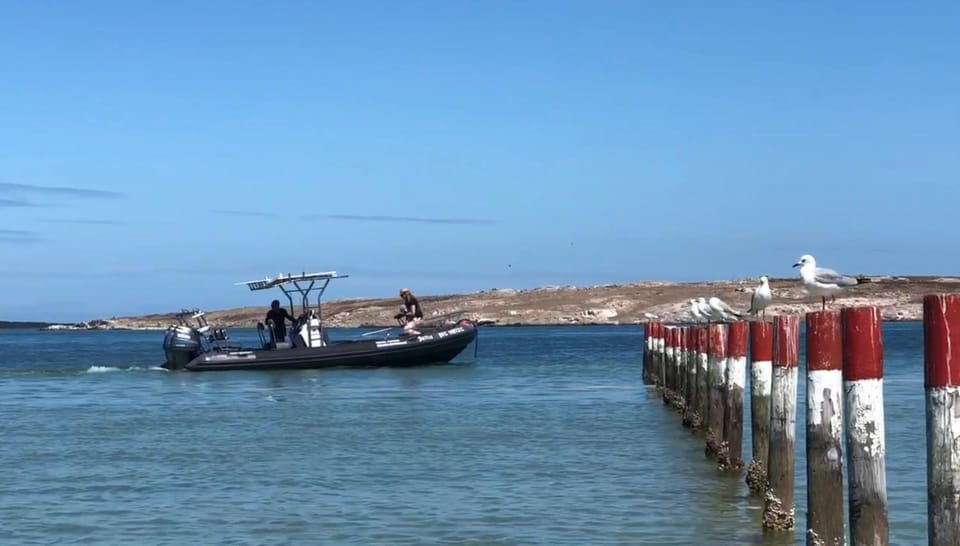 1-hours Sunset Betta boat Tour, Langebaan Lagoon | GetYourGuide