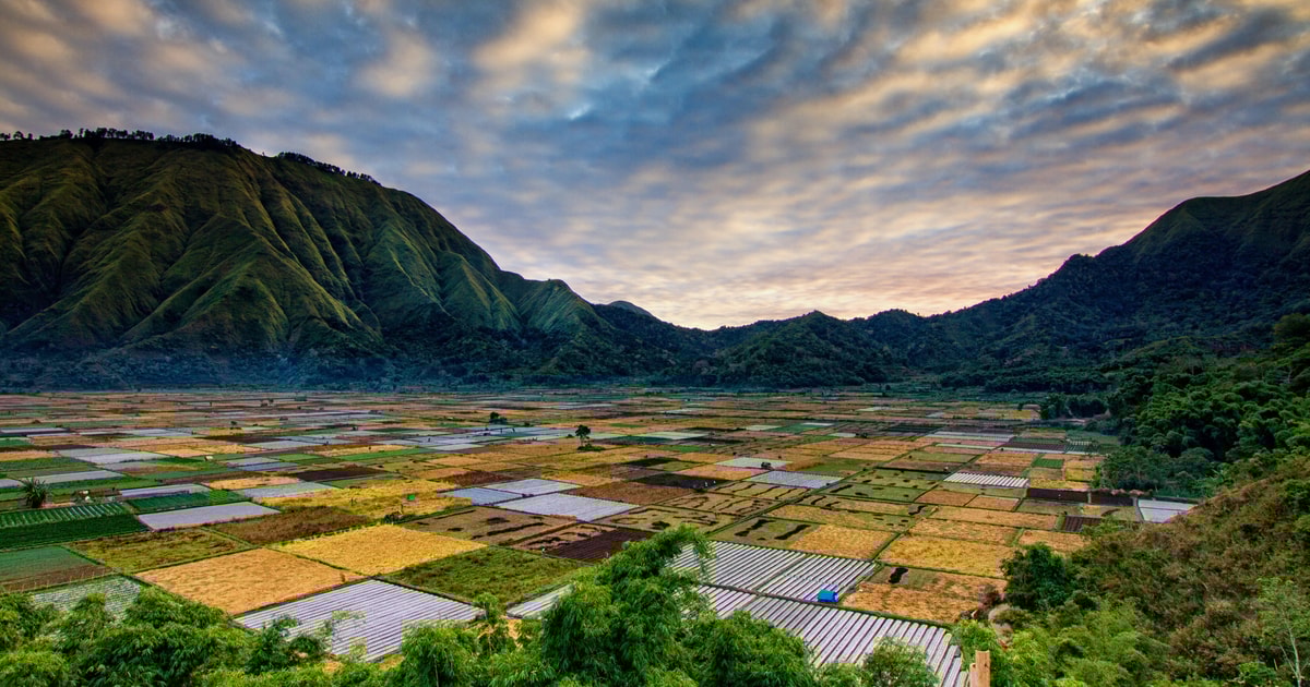 luxurious sendang gila, tiukelep waterfal & selong hill tour | GetYourGuide