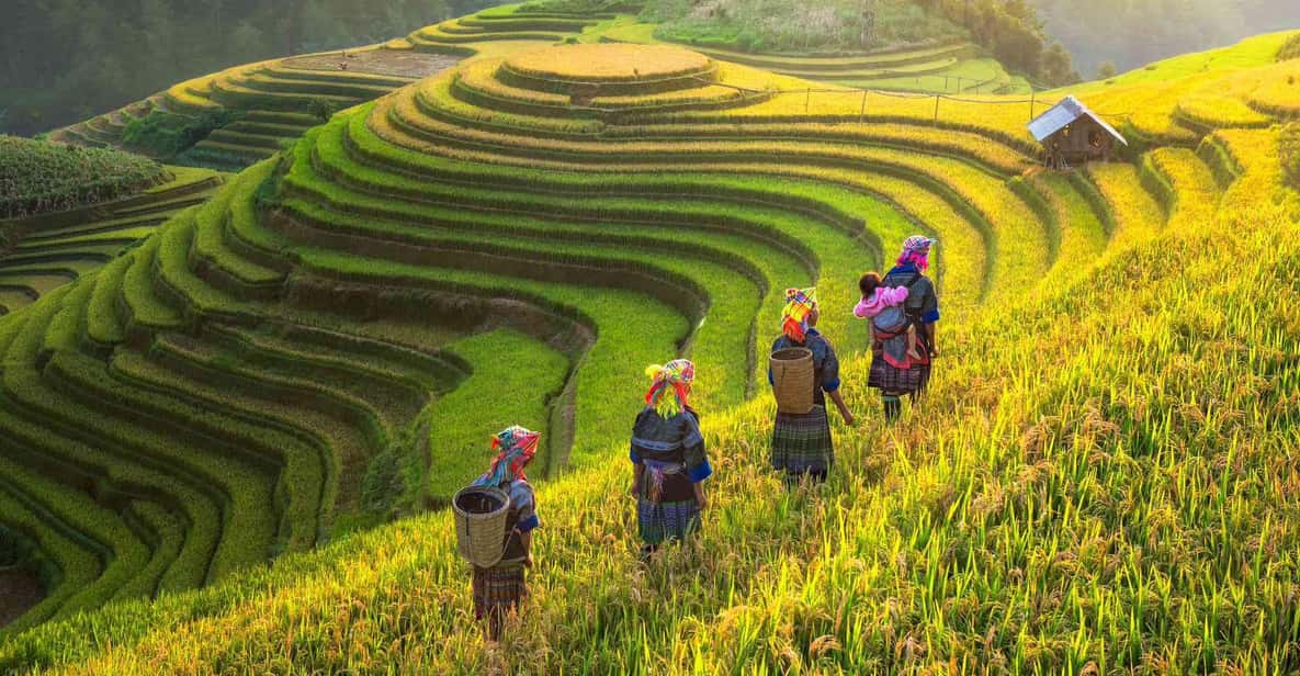 Iz Hanoja: 2-dnevna pohodniška tura Sapa z bivanjem v družini ...